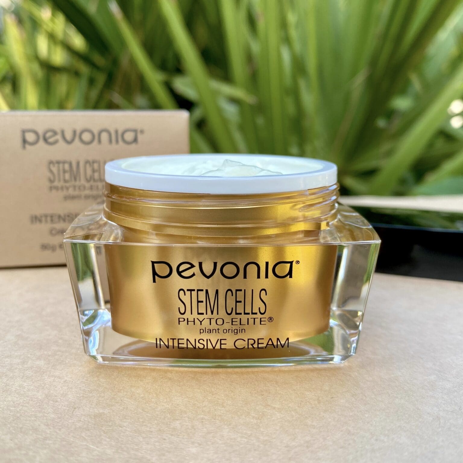 Pevonia Stem Cells Phyto-Elite Intensive Cream - John Francis Spa